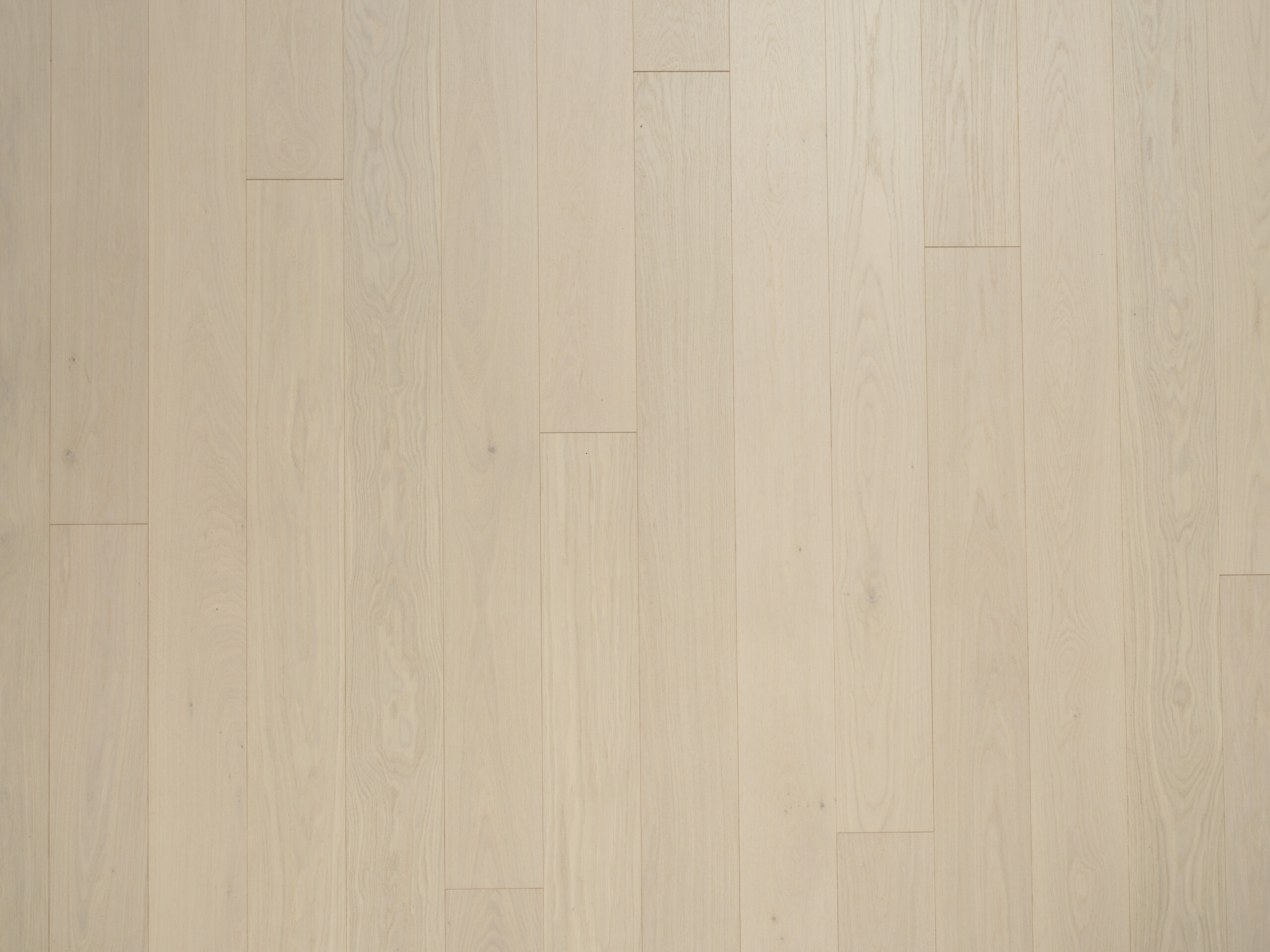 Veneto Timber Flooring | Atelier Range | Kustom Timber